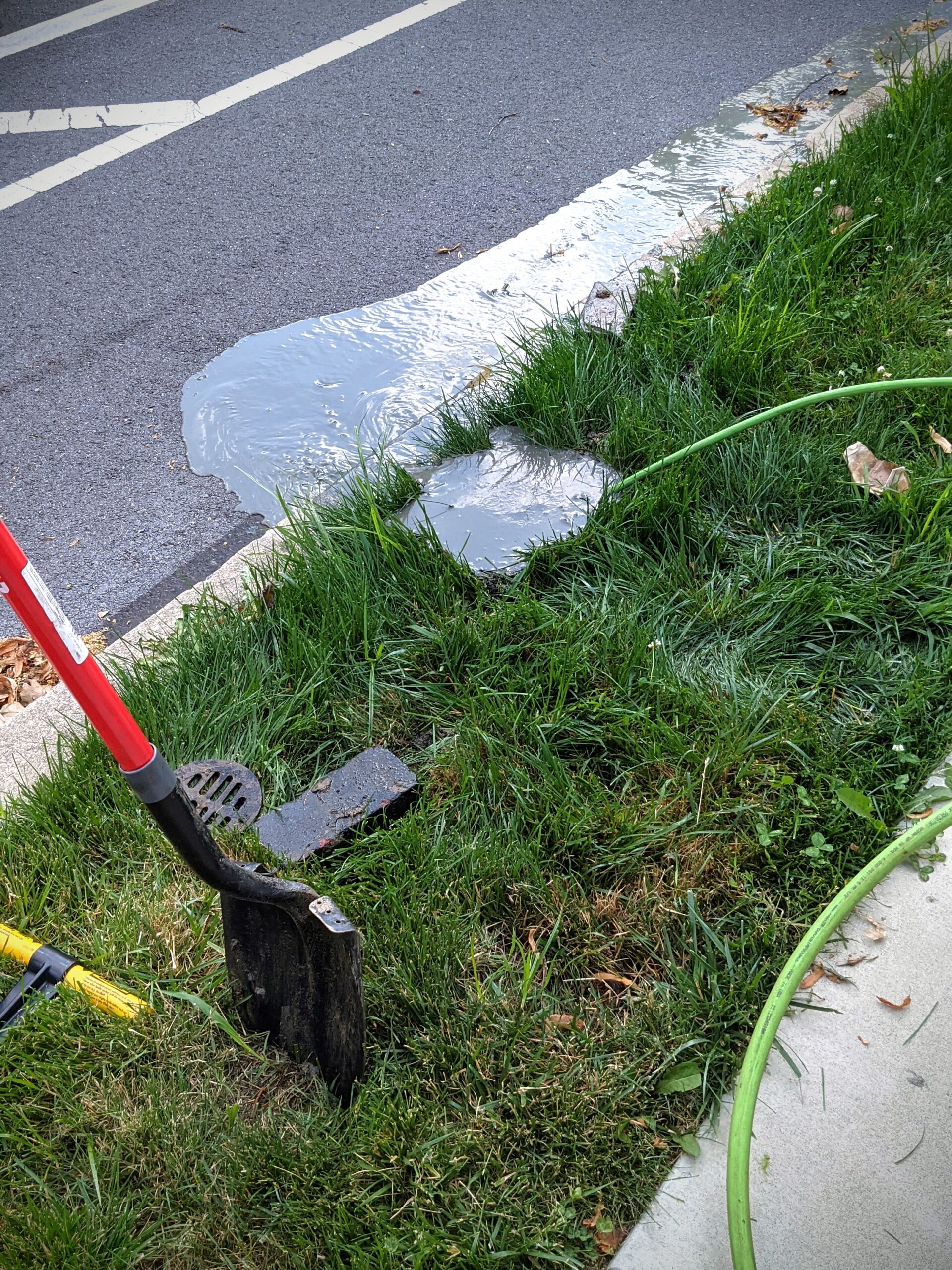 What’s Up This Week: Everyone Needs a Doctor & There’s Poop in Basement ...